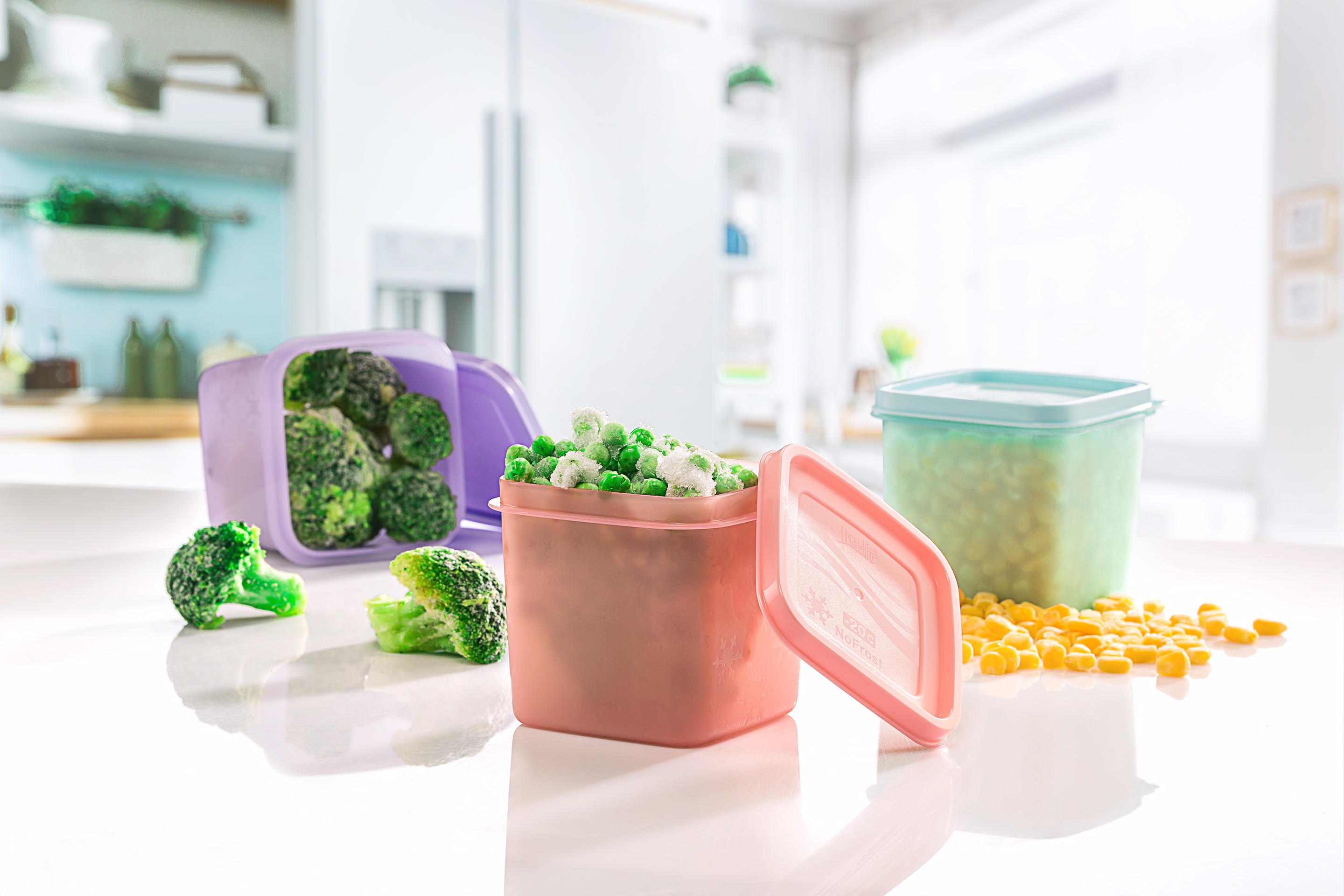 Plastic Kitchenware - Freshlife - ALASKA NO-FROST STORAGE BOX